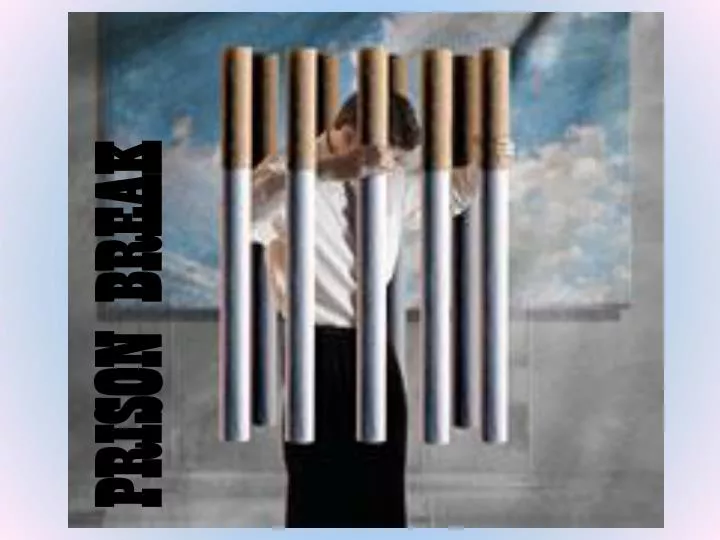 PPT - PRISON BREAK PowerPoint Presentation, free download - ID:4939873