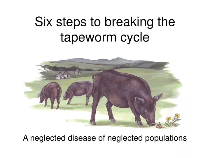 PPT - Six steps to breaking the tapeworm cycle PowerPoint Presentation ...
