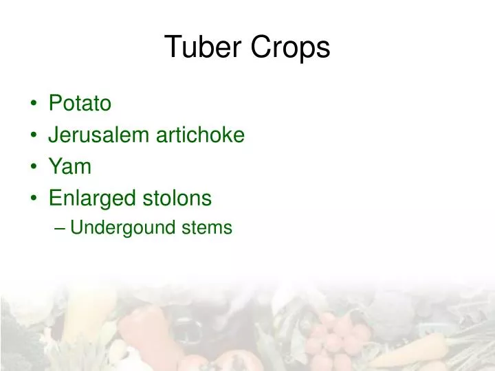 PPT - Tuber Crops PowerPoint Presentation, free download - ID:4940530