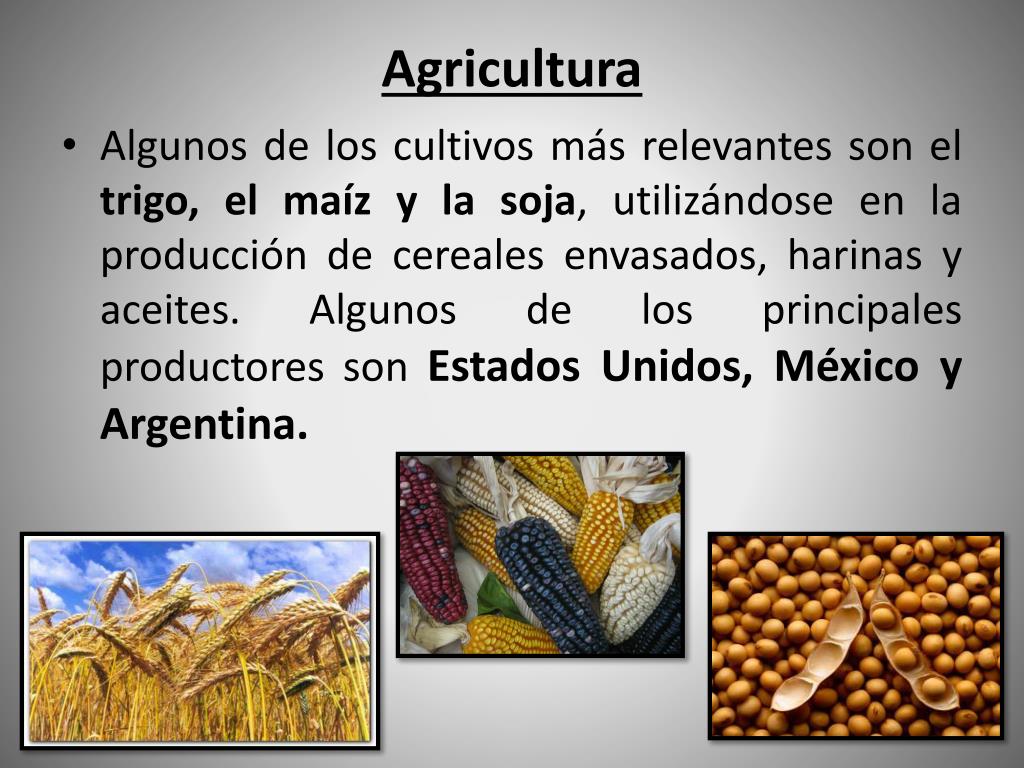 PPT - Los recursos naturales de América PowerPoint Presentation, free ...