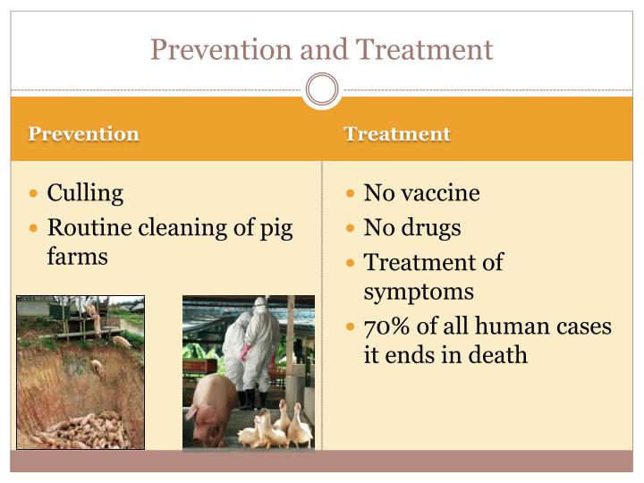 PPT - Nipah Virus (Henipavirus nipahvirus) PowerPoint Presentation - ID ...