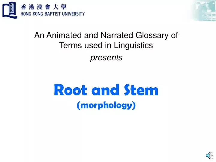 PPT - Root and Stem (morphology) PowerPoint Presentation, free download - ID:4941719