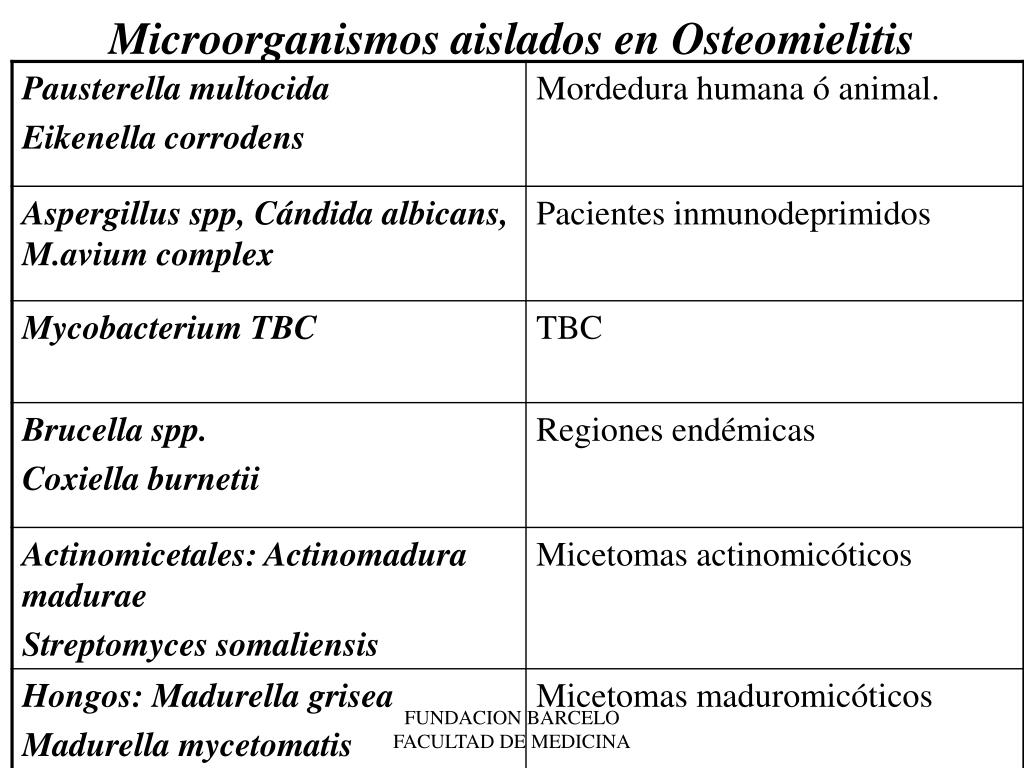 PPT - OSTEOMIELITIS PowerPoint Presentation, free download - ID:4943095 PPT - OSTEOMIELITIS PowerPoint Presentation, free download - ID:4943095