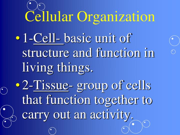 PPT - Organization of Life PowerPoint Presentation - ID:4943290