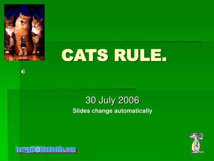 PPT - CATS RULE. PowerPoint Presentation, free download - ID:4943808