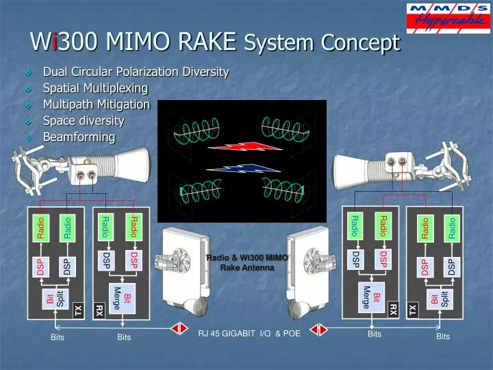 PPT - W i 300 MIMO RAKE System Concept PowerPoint Presentation, free ...