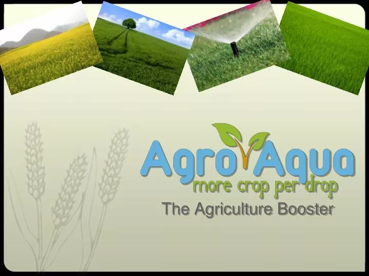 PPT - The Agriculture Booster PowerPoint Presentation, free download ...