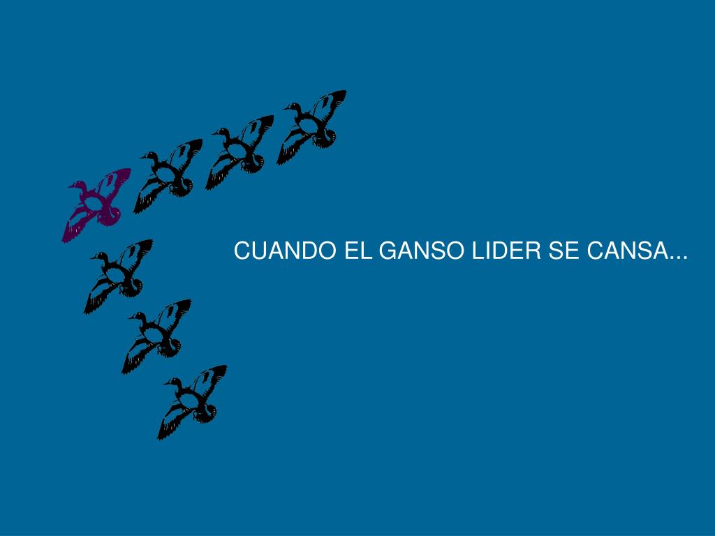 PPT - ¡ Ah...! ¡Si los ExCimeforistas FAP fuéramos gansos! PowerPoint ...