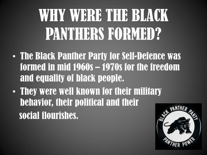 PPT - BLACK PANTHERS PARTY PowerPoint Presentation - ID:4958917
