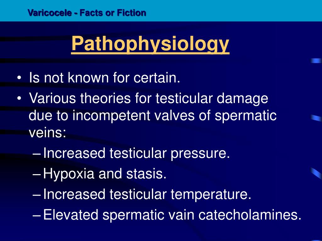 Ppt Varicocele Facts Or Fiction Powerpoint Presentation Free