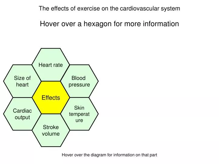 PPT - Hover over a hexagon for more information PowerPoint Presentation ...