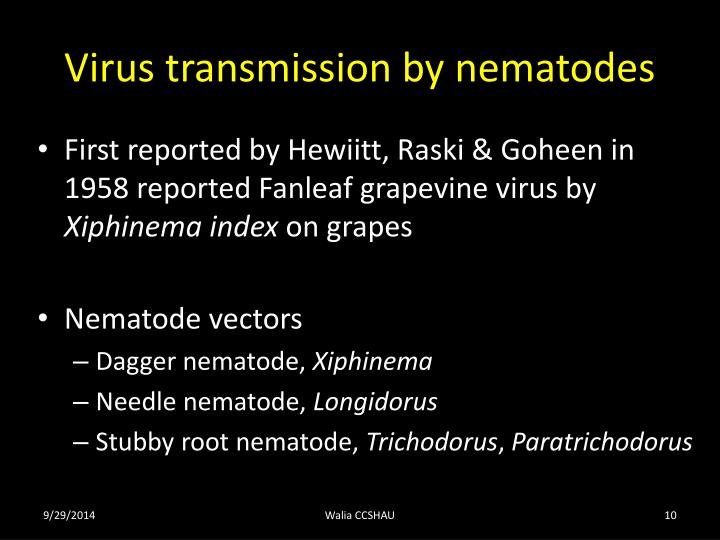 PPT - Nature of Damage and Economic Importance of Plant Parasitic ...