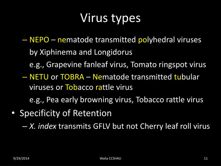 PPT - Nature of Damage and Economic Importance of Plant Parasitic ...