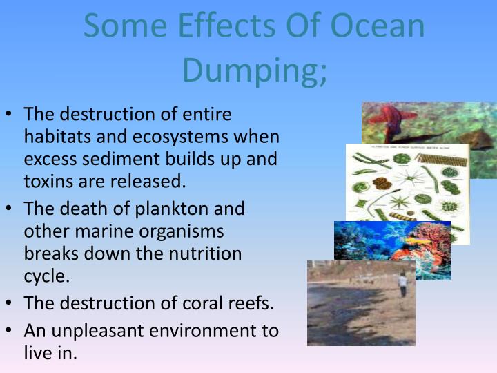 PPT - The Marine Environment; Ocean Dumping PowerPoint Presentation ...