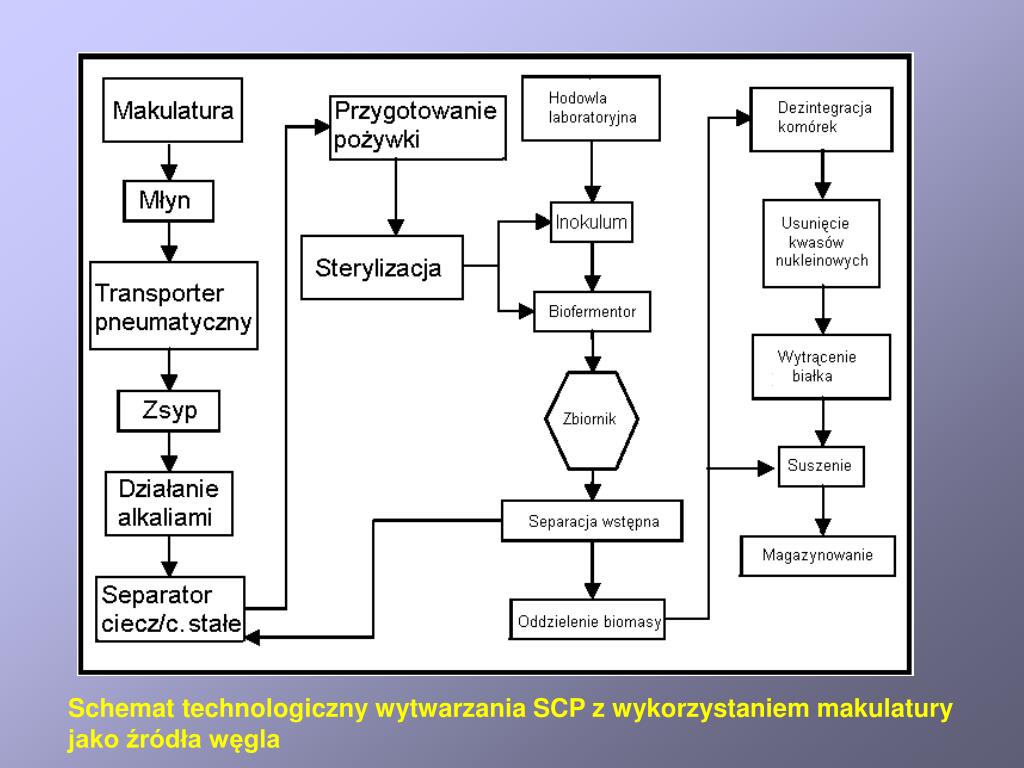 PPT - Wykorzystanie surowców odpadowych do otrzymywania białka ...