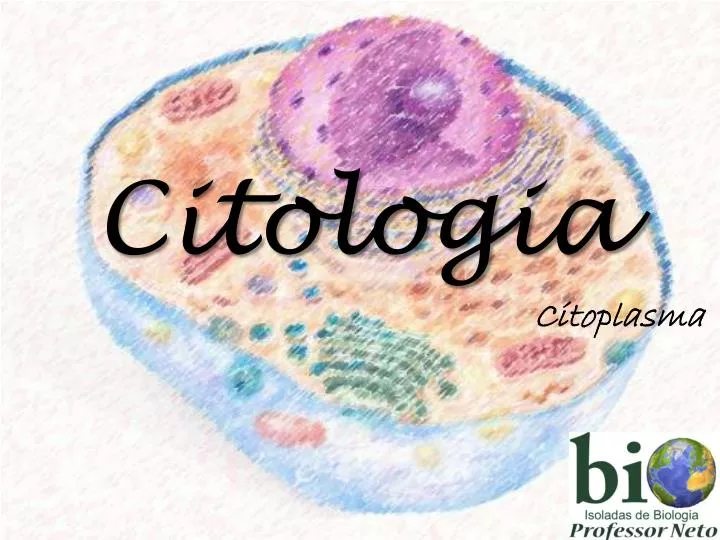 PPT - Citologia PowerPoint Presentation, free download - ID:4966886