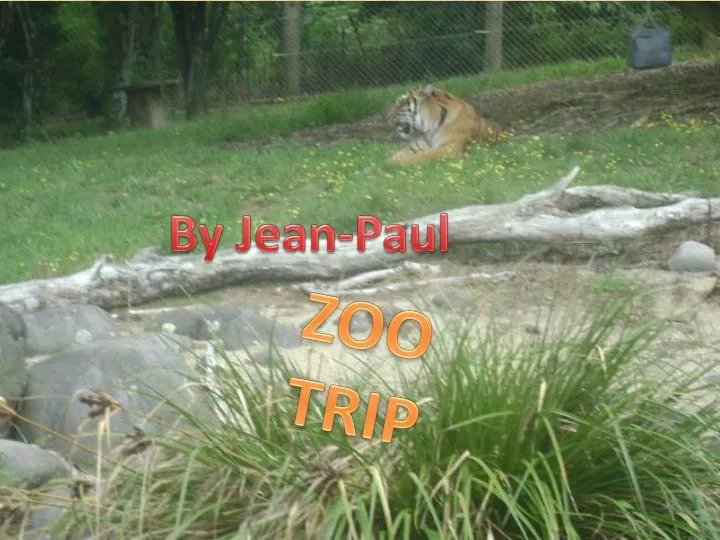 PPT - ZOO TRIP PowerPoint Presentation, free download - ID:4966938