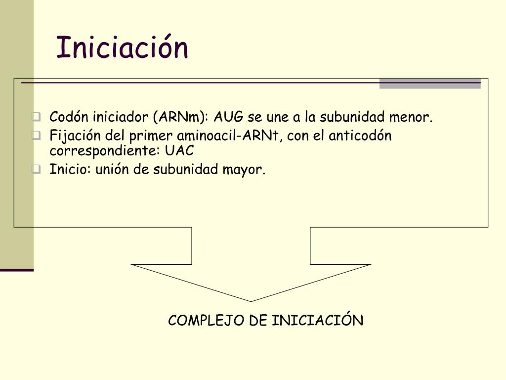 PPT - Unidad 1: “Información Genética y Proteínas” Tema: Traducción del ...
