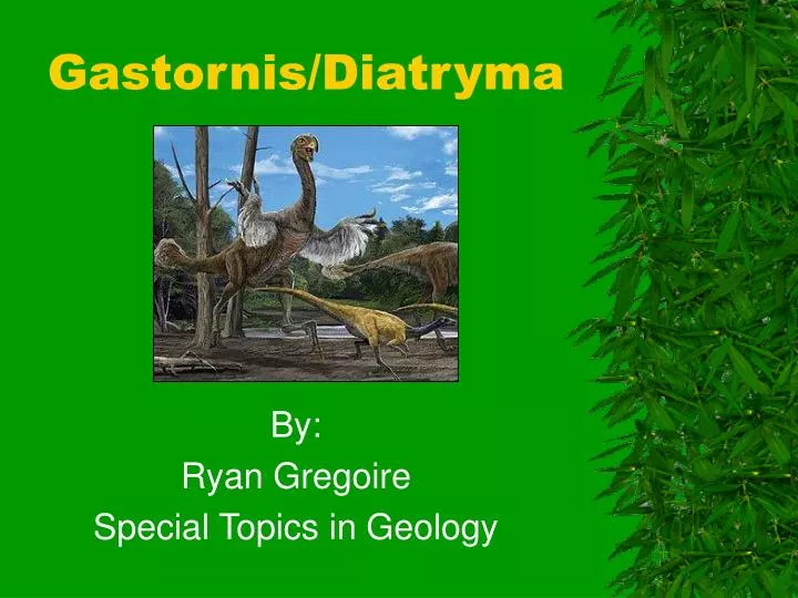 PPT - Gastornis/Diatryma PowerPoint Presentation, free download - ID ...