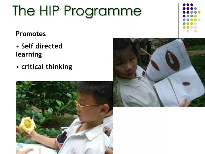 PPT - The HIP Programme PowerPoint Presentation, free download - ID:4974526