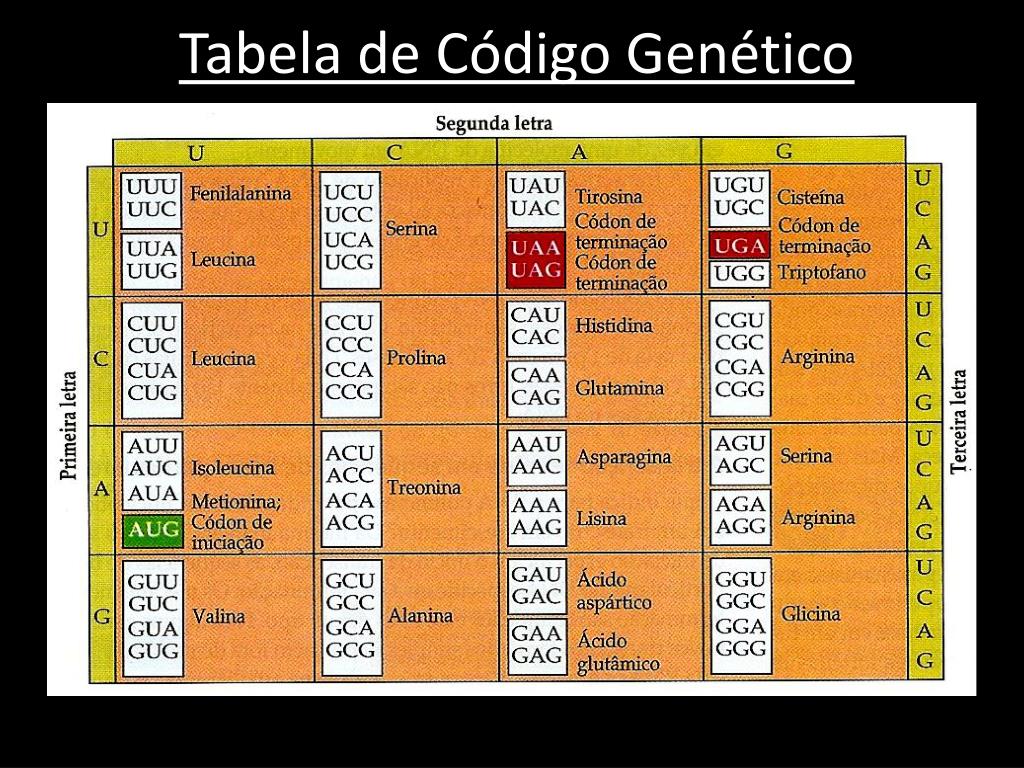 PPT - Tema :Engenharia Genética Prof.:Marcelo Brito PowerPoint ...