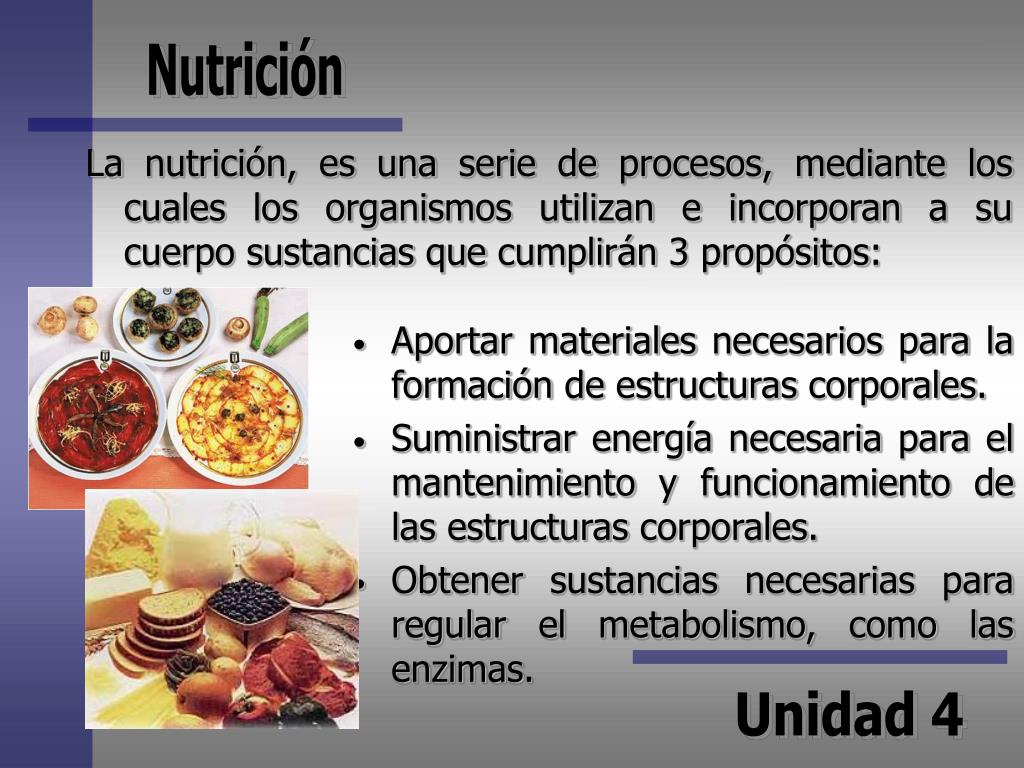 PPT - NUTRICIÓN PowerPoint Presentation, free download - ID:4977711 PPT - NUTRICIÓN PowerPoint Presentation, free download - ID:4977711