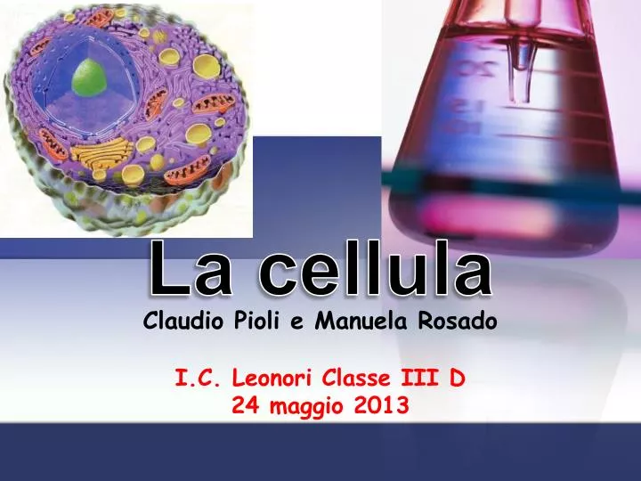 PPT - La cellula PowerPoint Presentation, free download - ID:4977900