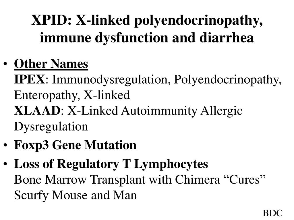 PPT - Type 1A Diabetes (Immune Mediated) Clinical Immunology Society ...