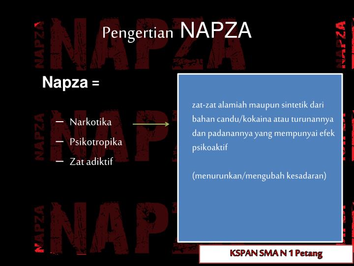PPT - NAPZA PowerPoint Presentation - ID:4979781