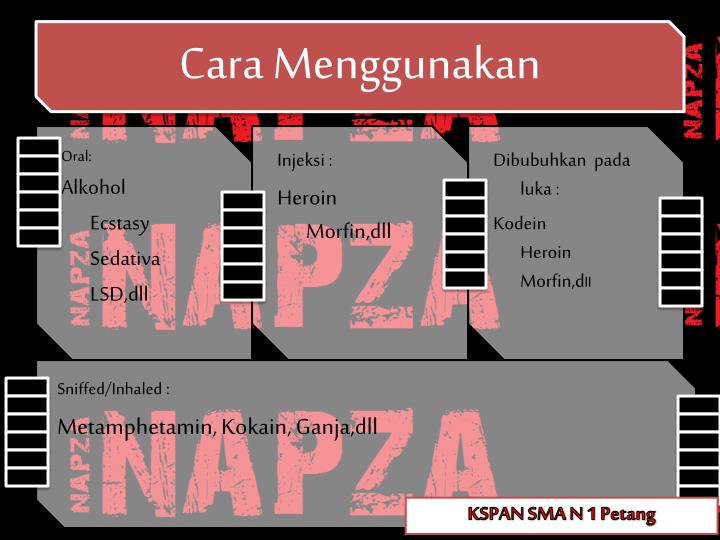 PPT - NAPZA PowerPoint Presentation - ID:4979781