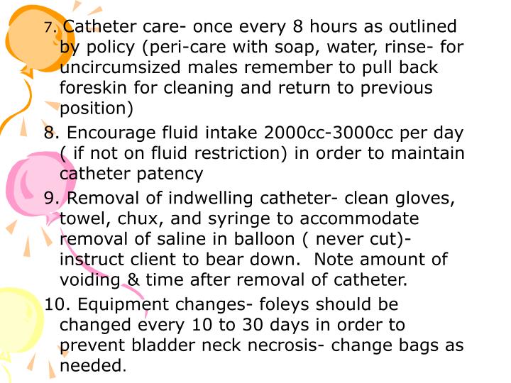 PPT - Urinary Catheterization PowerPoint Presentation - ID:4980880
