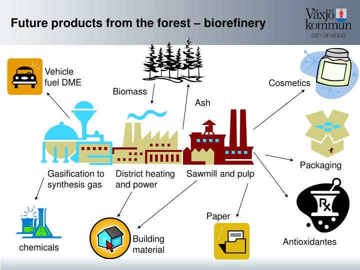 PPT - Towards a bio-based economy PowerPoint Presentation - ID:4981561