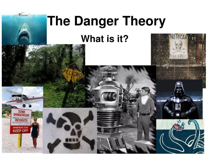 PPT - The Danger Theory PowerPoint Presentation, free download - ID:4981614