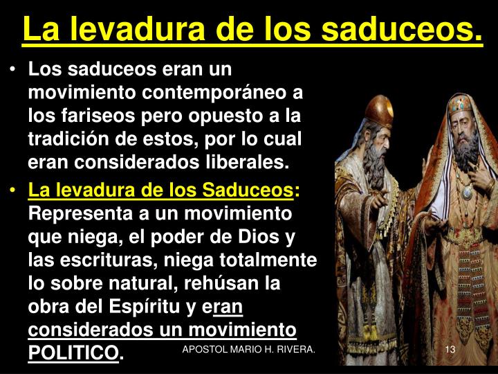 Saduceos