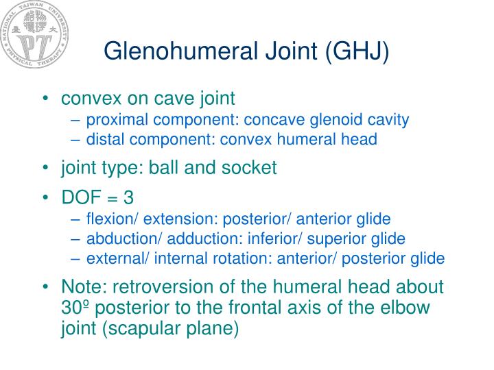 PPT - Peripheral Joint Mobilization -- Shoulder Joints PowerPoint ...