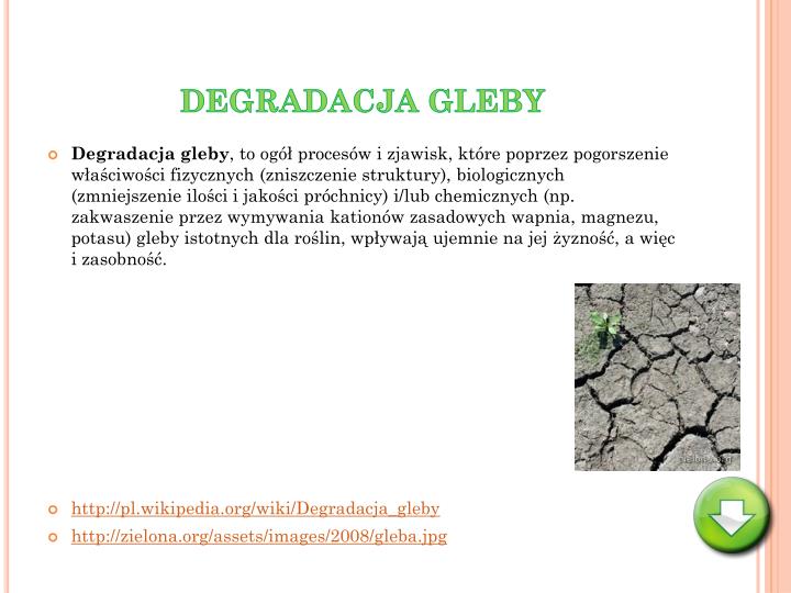 PPT - SŁOWNIK POJĘĆ O GLEBIE PowerPoint Presentation - ID:4985801