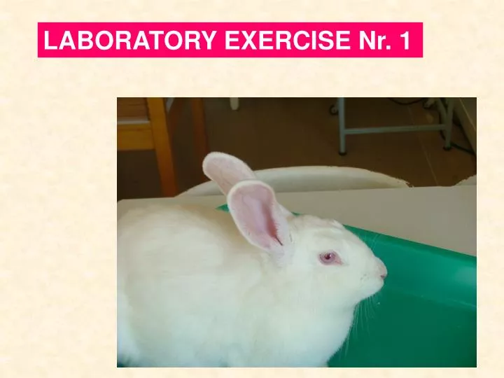 PPT - LABORATORY EXERCISE Nr. 1 PowerPoint Presentation, free download ...