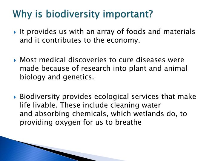 PPT - Biodiversity PowerPoint Presentation - ID:4995001