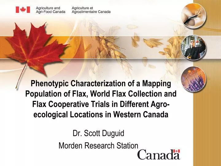 PPT - Dr. Scott Duguid Morden Research Station PowerPoint Presentation ...