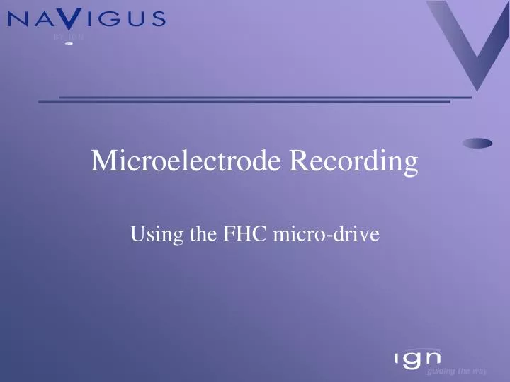 PPT - Microelectrode Recording PowerPoint Presentation, free download ...