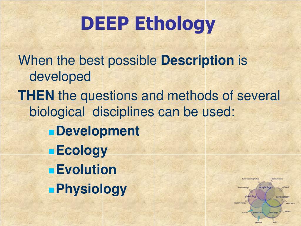 PPT - ETHOLOGY and SOCIOBIOLOGY EEB / Psych 370 PowerPoint Presentation ...