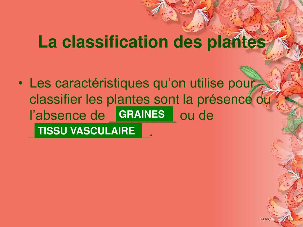 PPT - La diversité chez les plantes (pages 464 à 484) PowerPoint ...