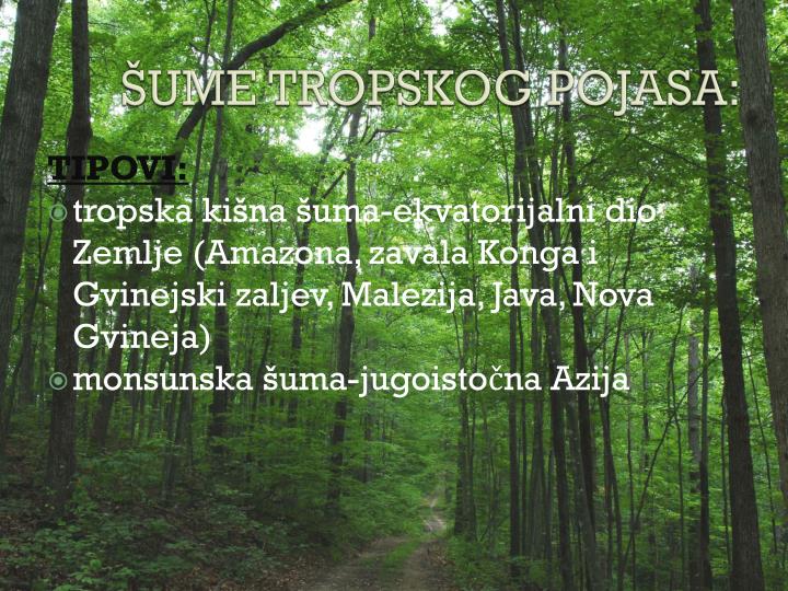 PPT - ŠUME PowerPoint Presentation - ID:4998390