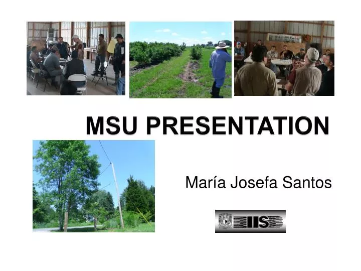 PPT - MSU PRESENTATION PowerPoint Presentation, free download - ID:5001502