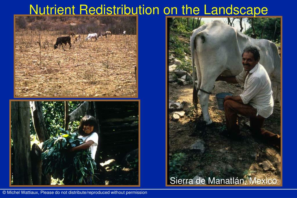 PPT - Agricultural “Development”, Sustainability, and The Roles of ...