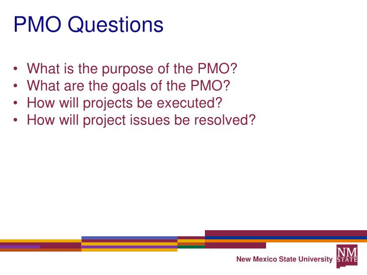PPT - Project Management Office: Goals and Expectations PowerPoint ...