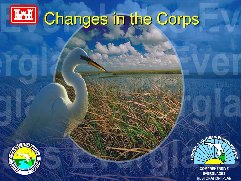 PPT - of America’s Everglades & the South Florida Ecosystem PowerPoint ...