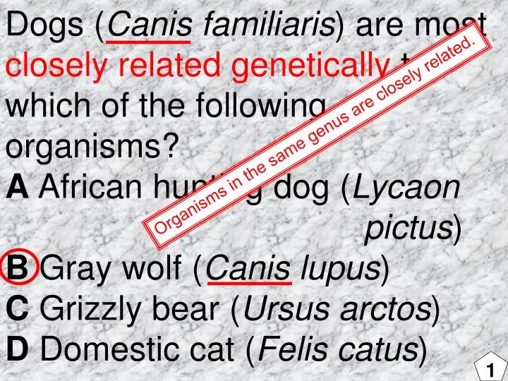 PPT - Organisms in the same genus are closely related. PowerPoint ...