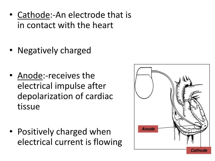 PPT - BASICS OF PACEMAKER PowerPoint Presentation - ID:5007873
