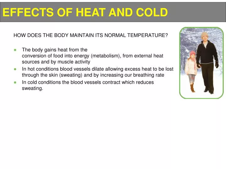 PPT - HOW DOES THE BODY MAINTAIN ITS NORMAL TEMPERATURE? PowerPoint ...